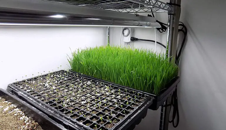 5 Best 1020 Trays – Definitive Guideline for Newbies