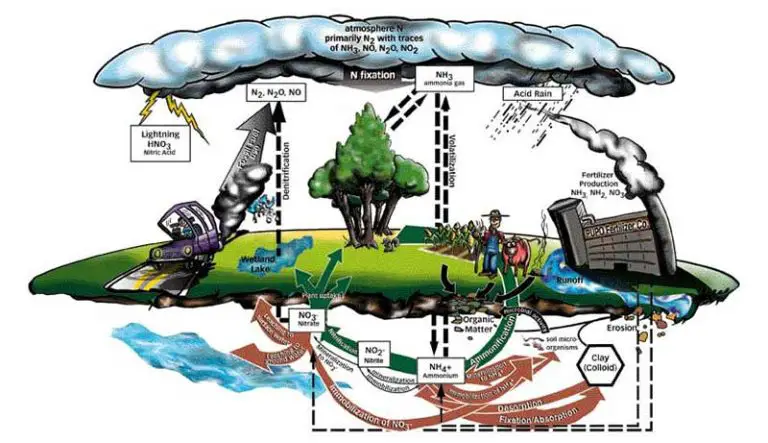 How Does Climate Affect Soil Formation? Easy Guide