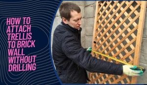 How to Attach Trellis to Brick Wall Without Drilling