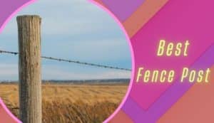 Top 5 Best Fence Post [The Smarter Choice for You]