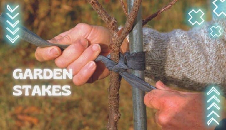 Best Garden Stakes | Top 5 High Quality Models