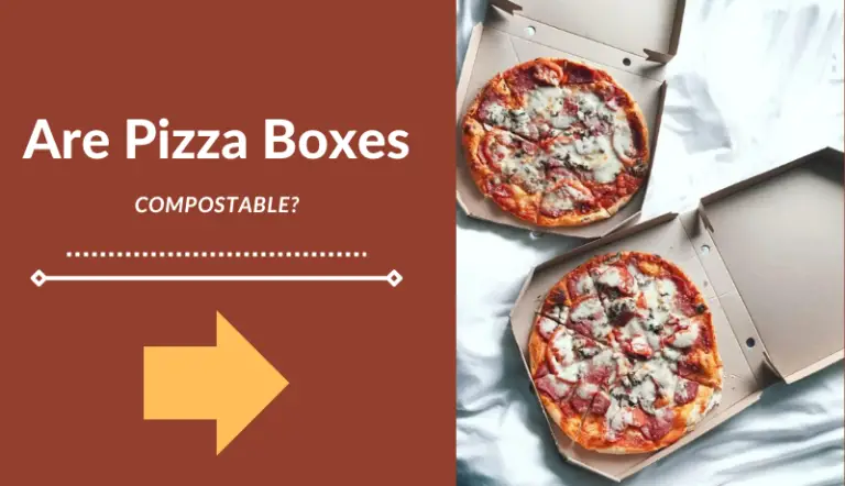 Are Pizza Boxes Compostable? - Full Guide | TheGardenFixer
