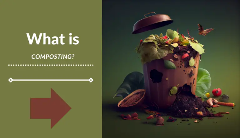 What is Composting? Everything You Need to Know | TheGardenFixer